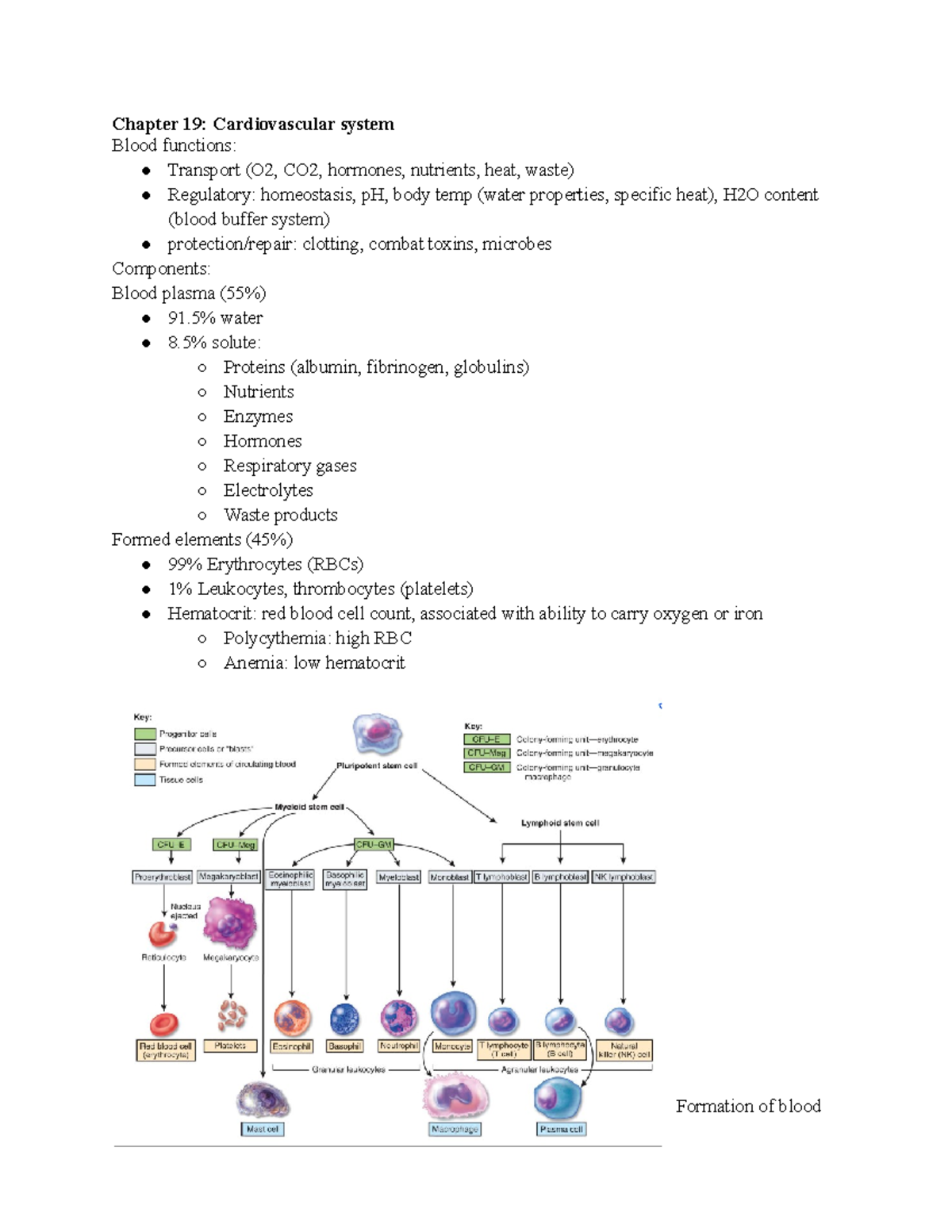 Blood and cardiovascular - Chapter 19: Cardiovascular system Blood ...