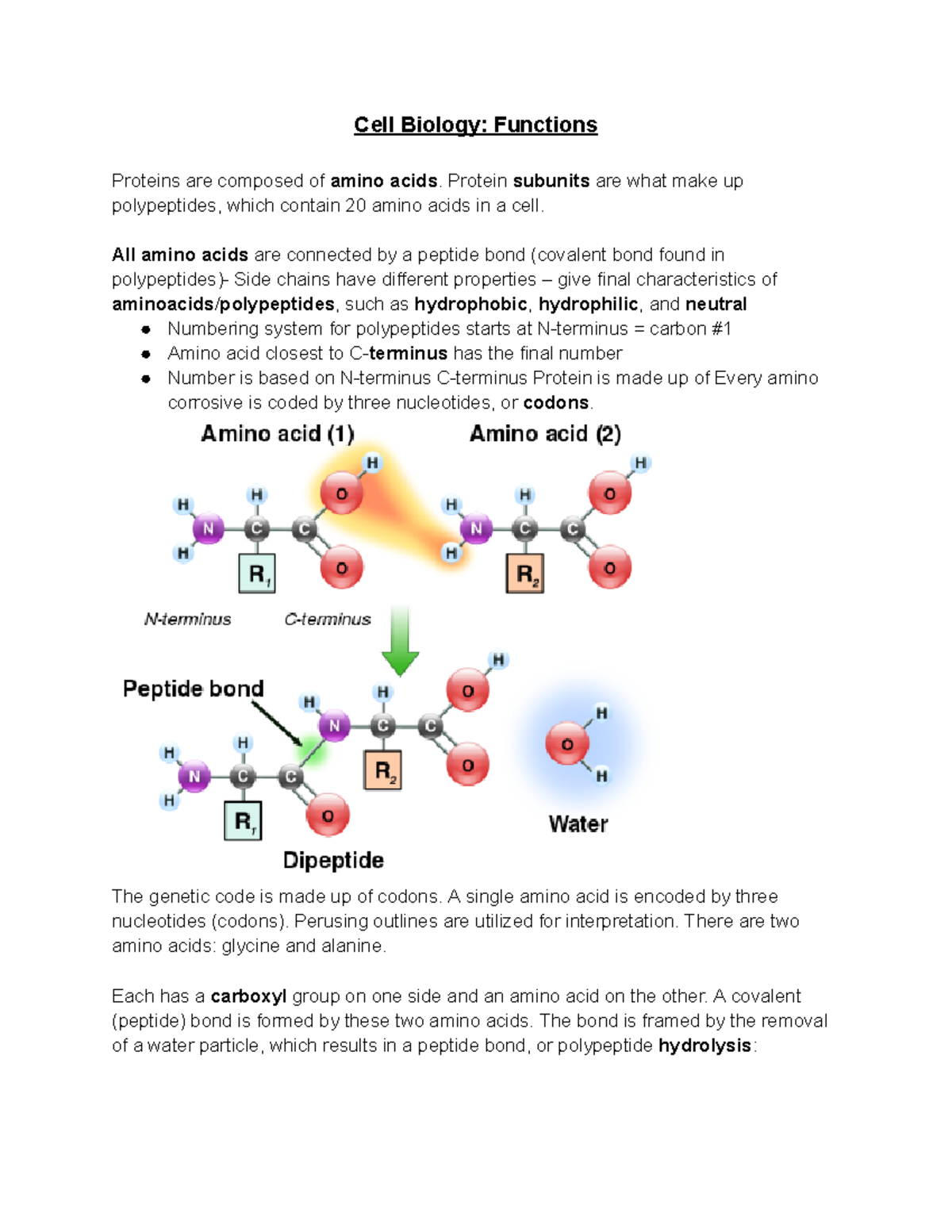 Cell Biology Functions - Cell Biology: Functions Proteins are composed ...