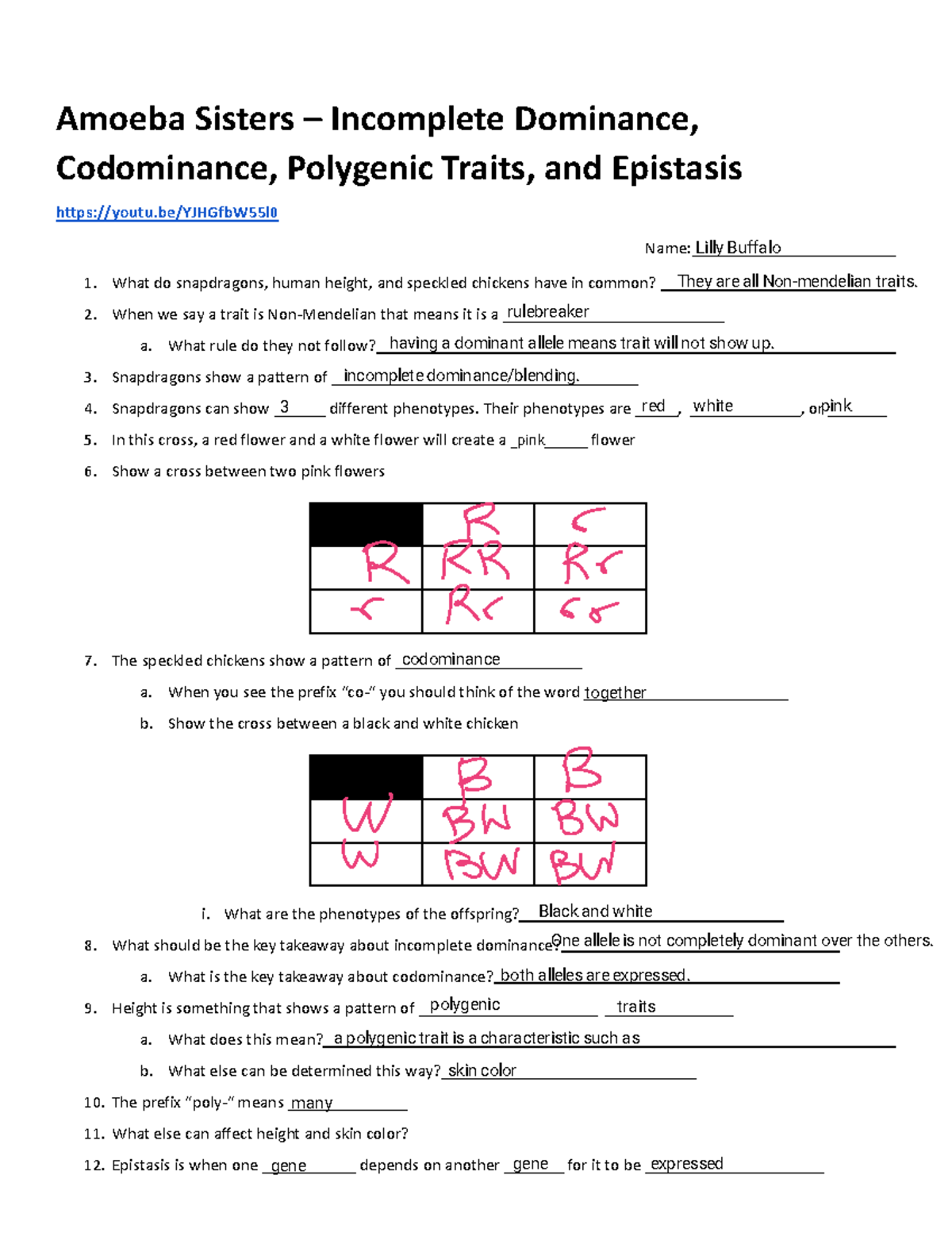 Kami Export - Amoeba Sisters - Non-mendelian traits complex inheritance ...