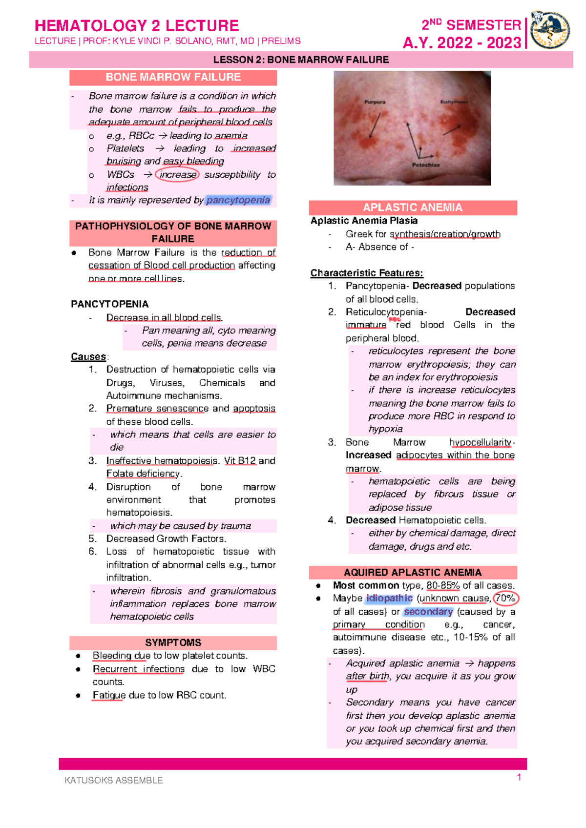 L2 HEMA 2 LEC BM Failure - none - HEMATOLOGY 2 LECTURE LECTURE | PROF ...