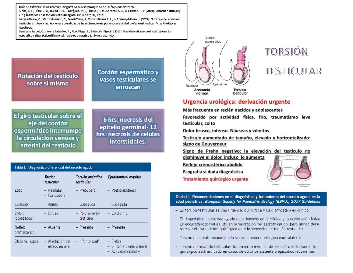 Torsión Testicular Guía De Práctica Clínica Abordaje Diagnóstico Del