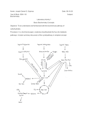 Biochemistry Reviewer - BIOCHEMISTRY REVIEWER Biochemistry is the study ...