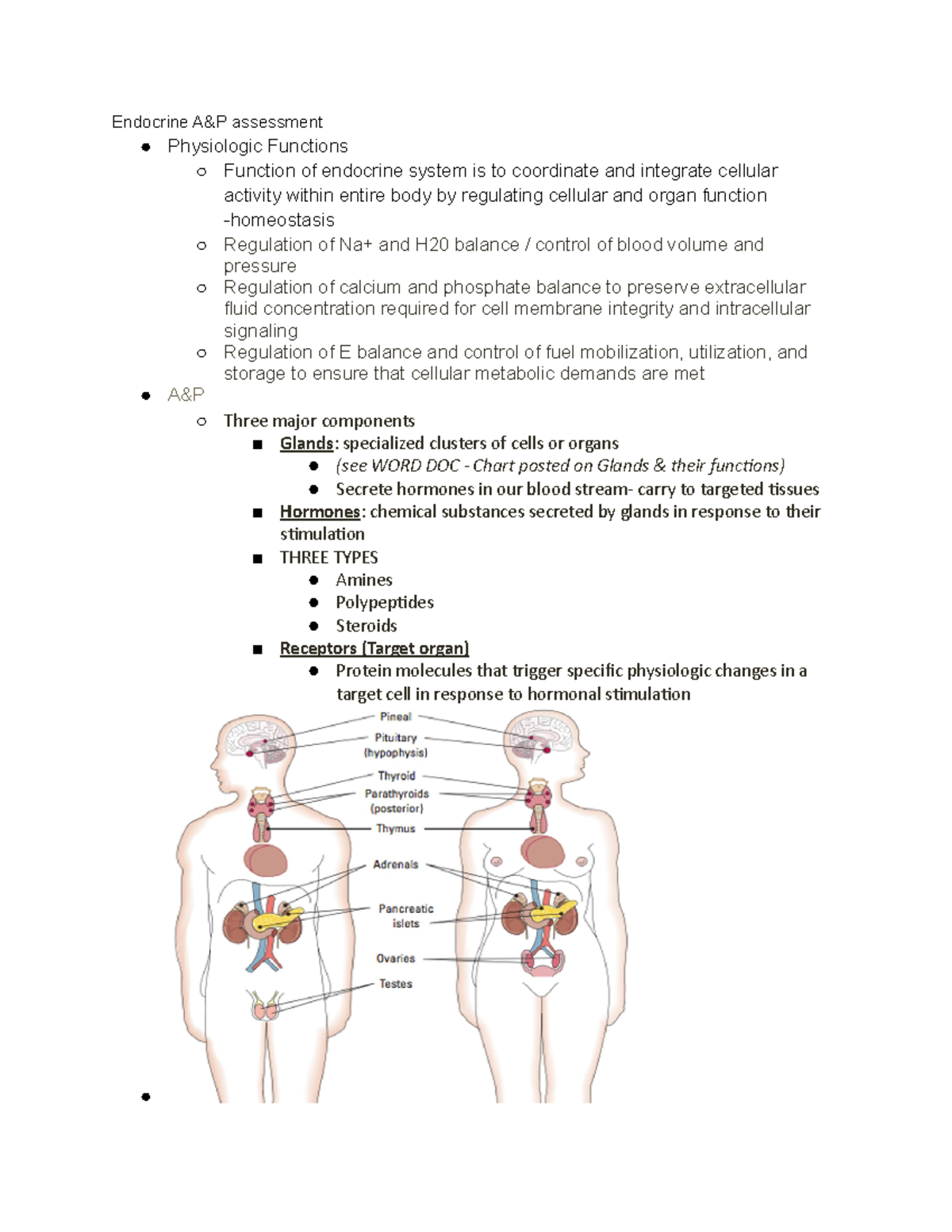 Endocrine AP assessment - Endocrine A&P assessment Physiologic ...
