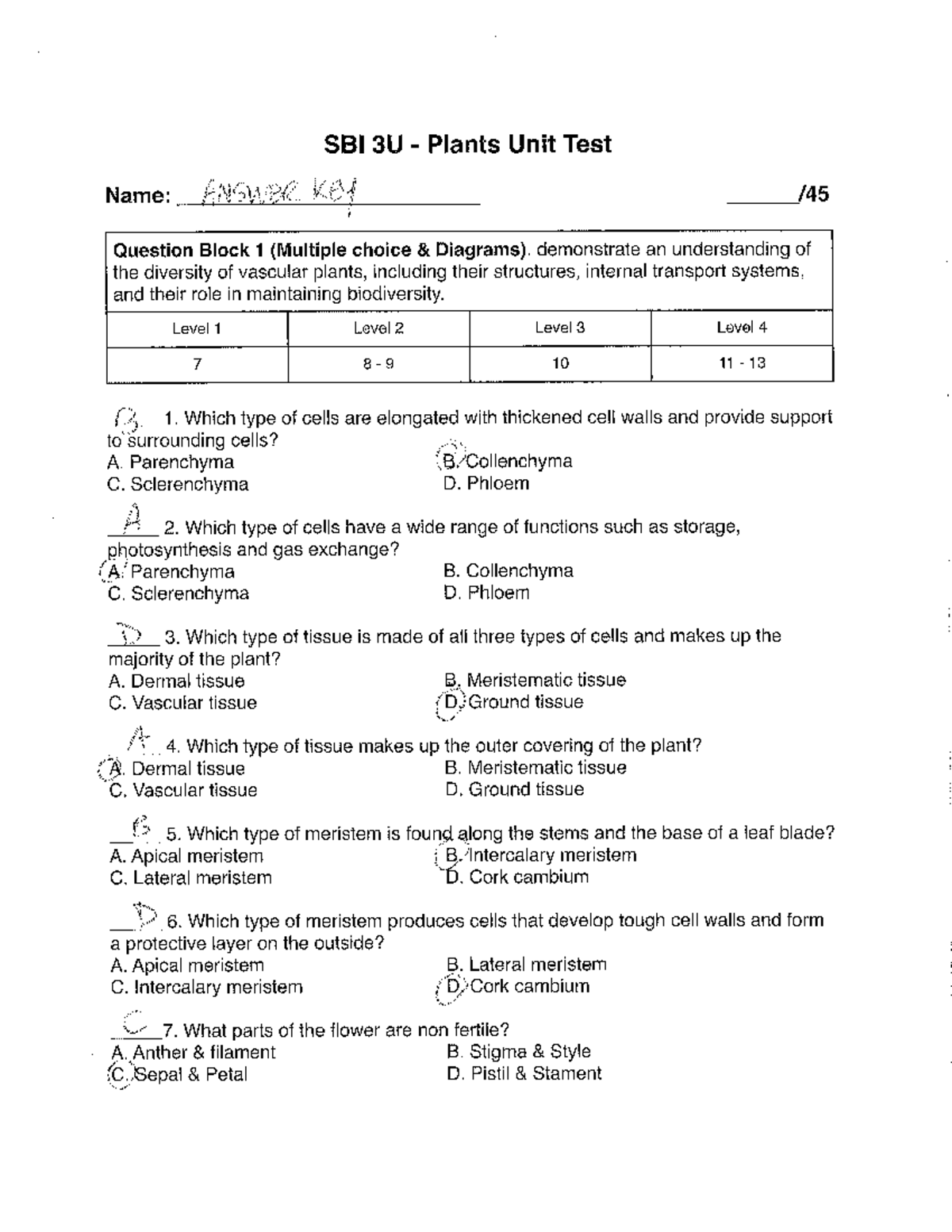 Plants Answer Key - SBI 3U Plants Unit Test Name: ANSWER KEY Question ...