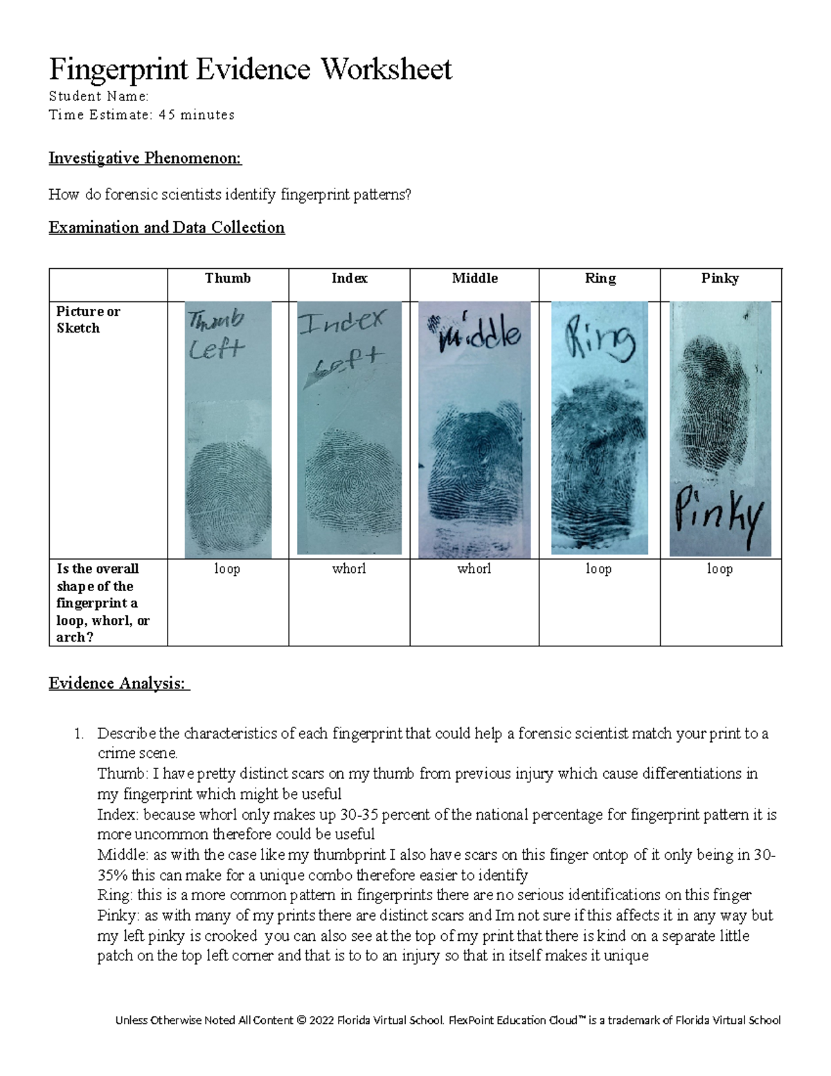 Fingerprint evidence worksheet 1 - Fingerprint Evidence Worksheet ...