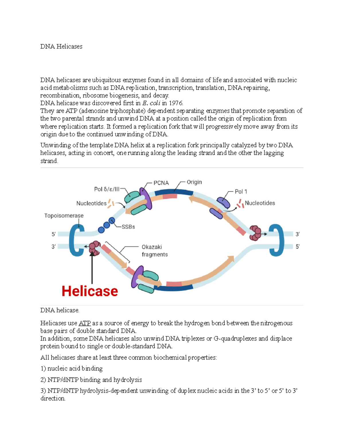 DNA Helicases - notes - DNA Helicases DNA helicases are ubiquitous ...