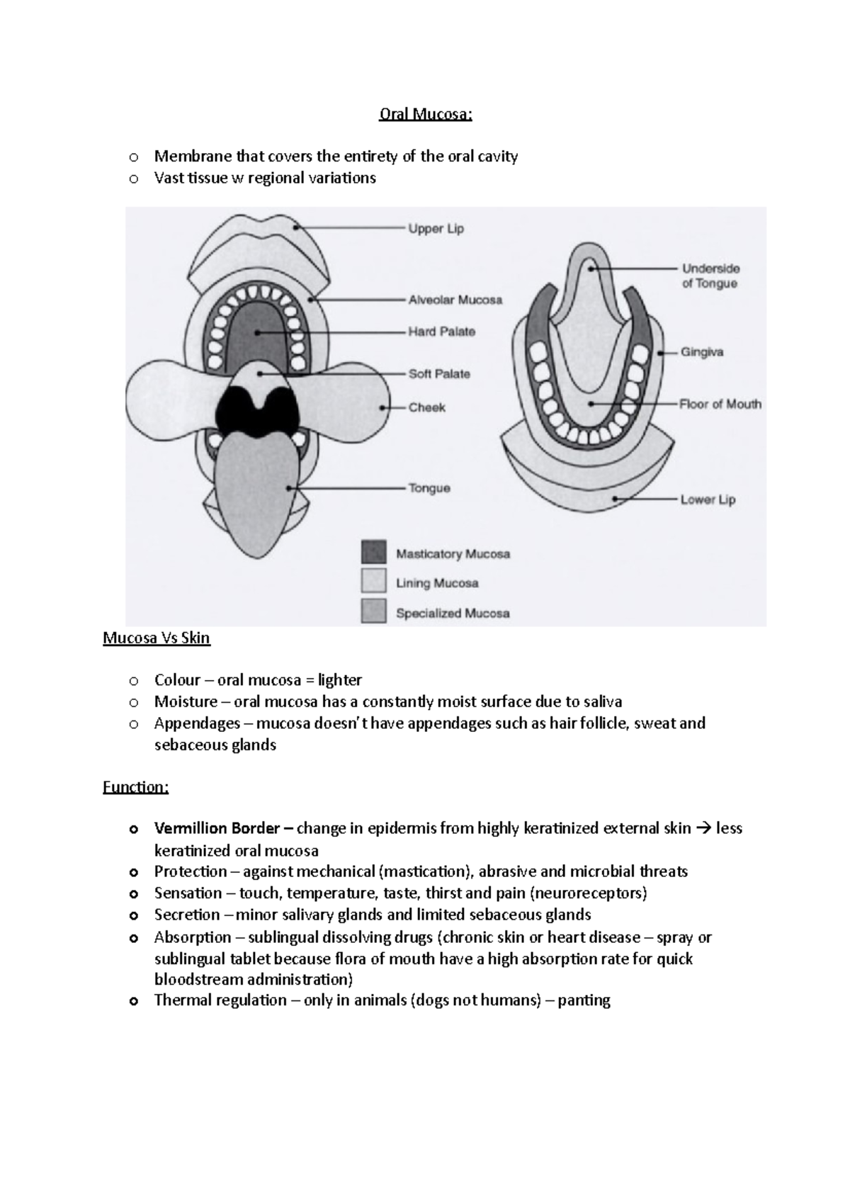 Oral Mucosa - o Masticatory Mucosa: Keratinized stratified squamous 4 ...