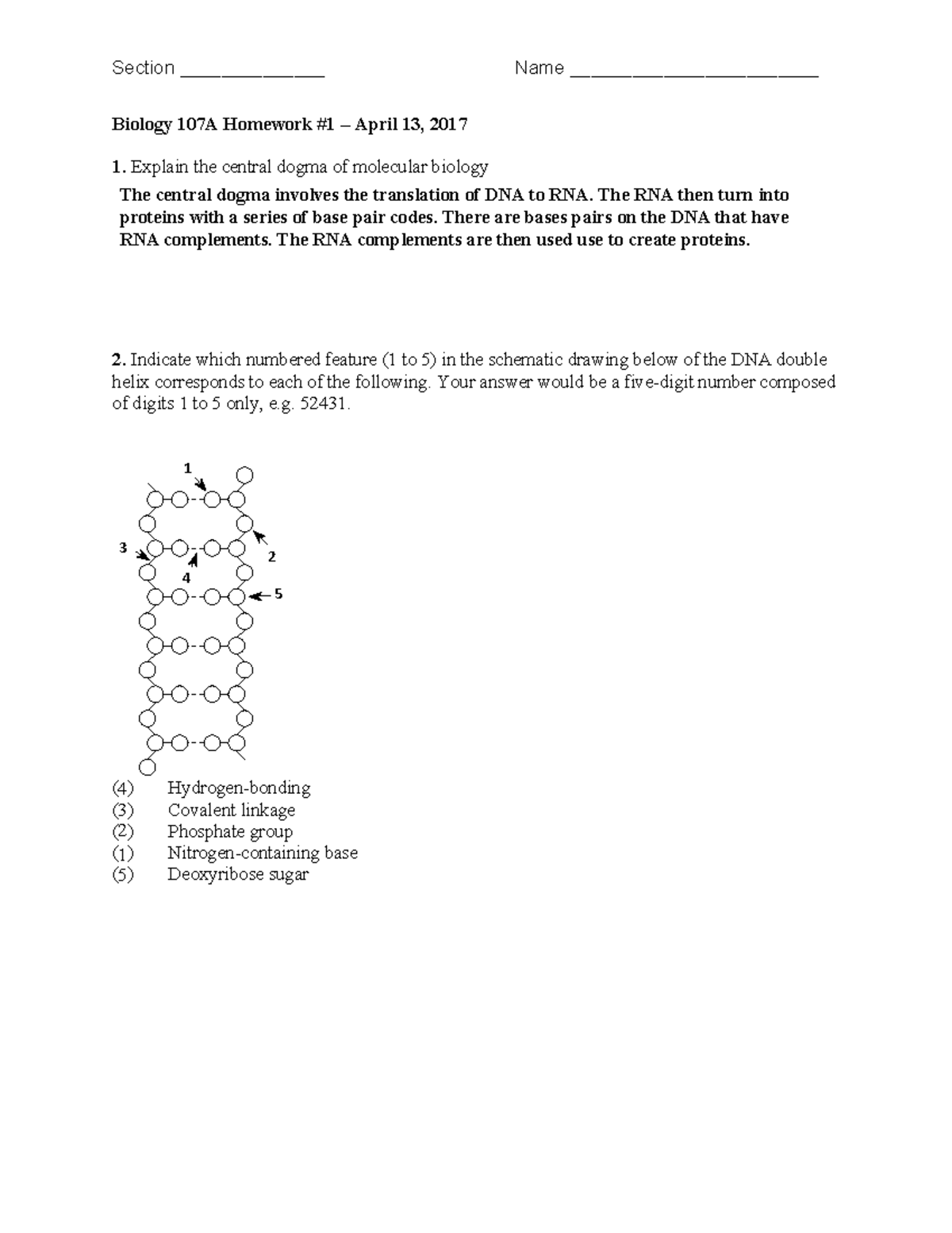 Biol 110 Flow Diagram Homework Assignment Biol 110 Review Ii