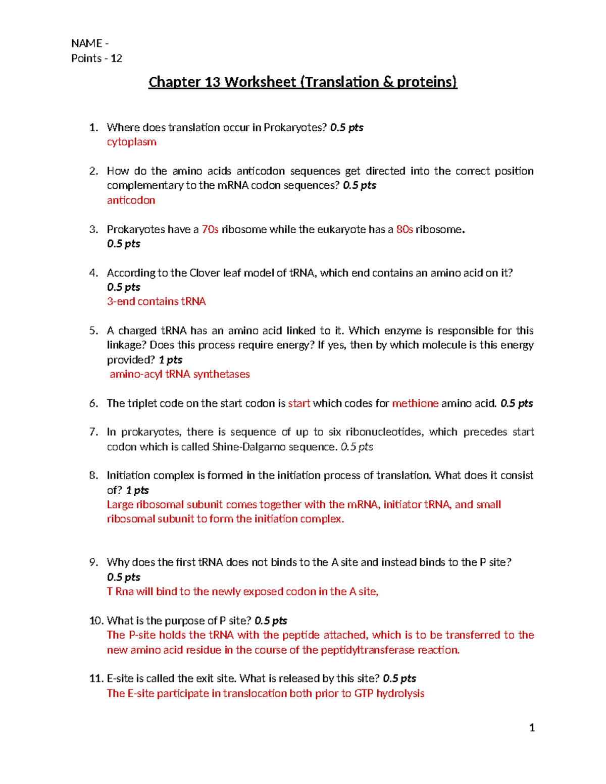 Chapter 13 Worksheet (Translation & Proteins) - NAME - Points - 12 ...