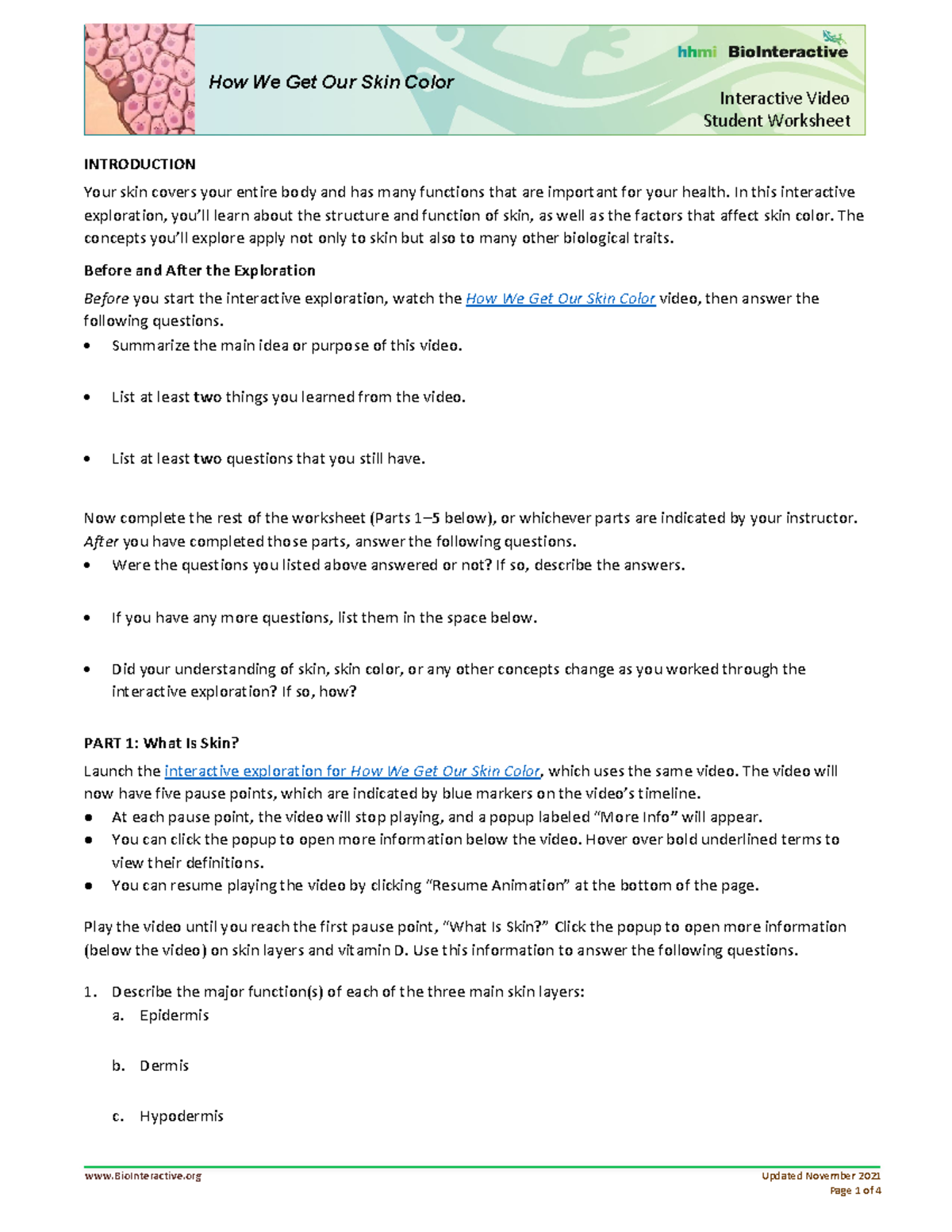 Interactive Skin Color-Student WS-ivideo - BioInteractive Updated ...