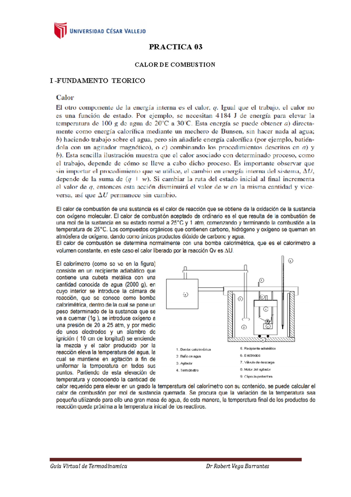 2021Practicacalor de combustion (1) - PRACTICA 03 CALOR DE COMBUSTION I ...