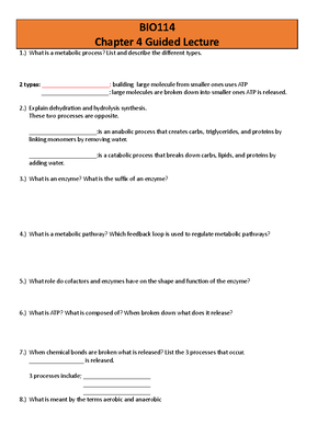 Medical terminogly - Med term worksheet - Hemat(ology)- the study of ...