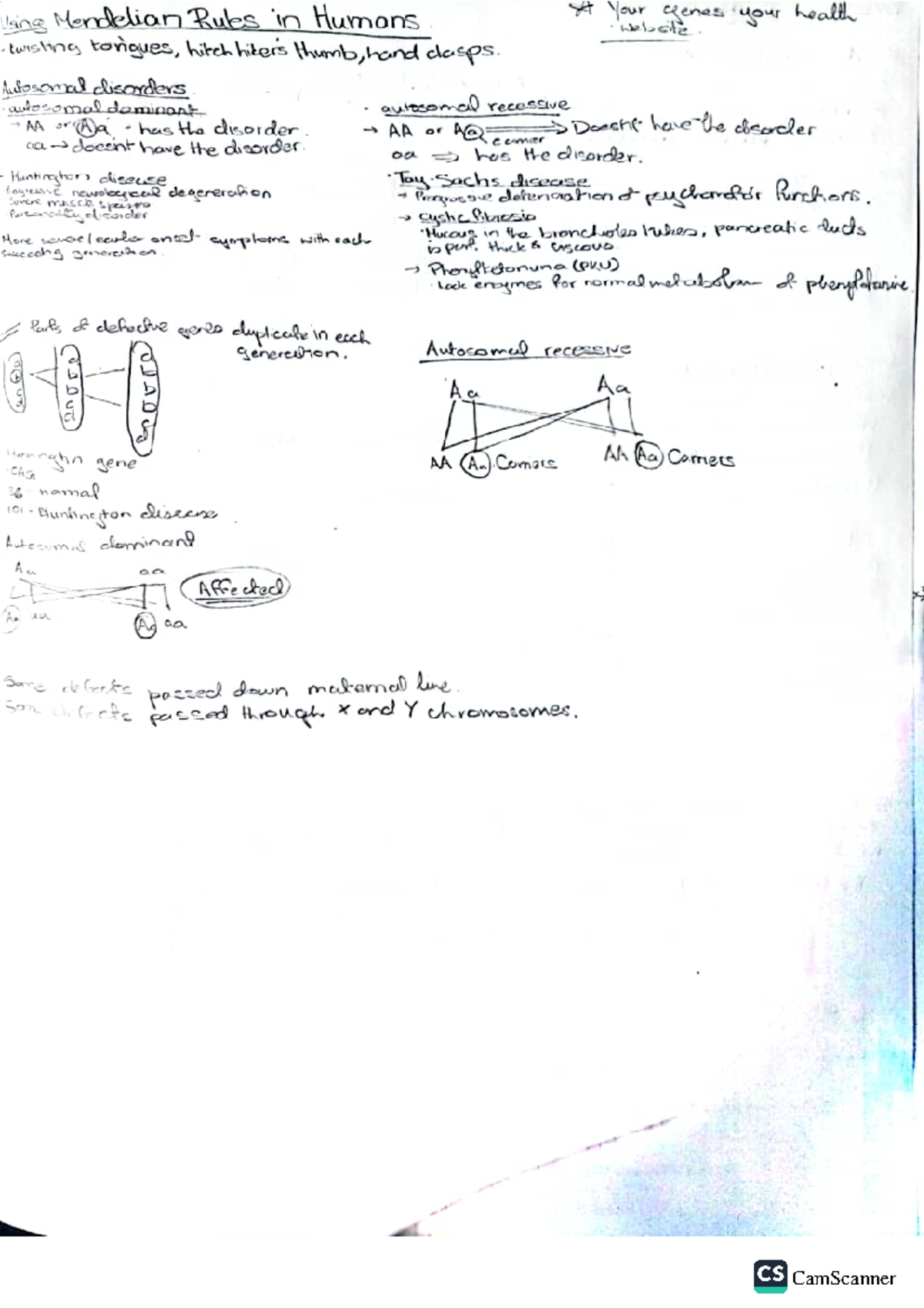 Week 5 notes - Practice material - BP 723 - CamScanner CamScanner - Studocu