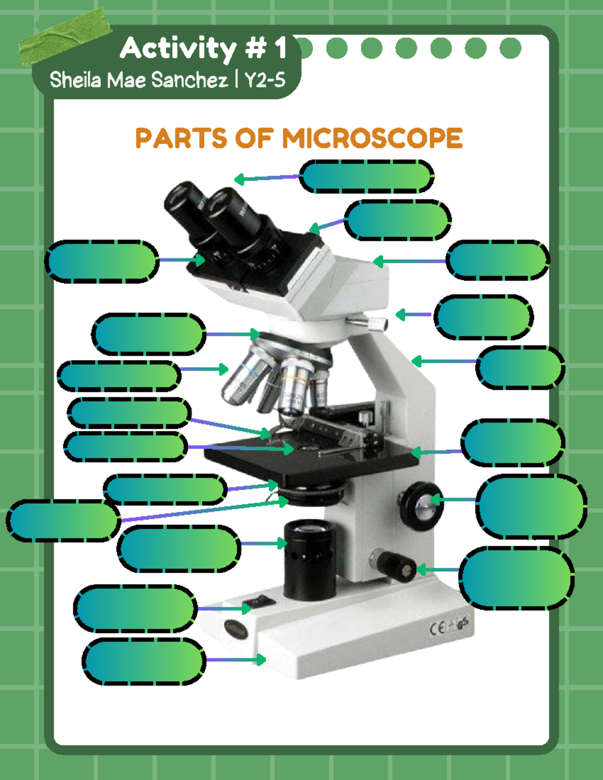 Activity #1 H HIS - microscopy hw template - Histology - Arm Diopter ...