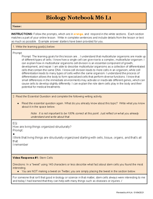 Matter Flowchart (Fill in the Blank) - 7 MATTER ELEMENTS COMPOUNDS Can ...