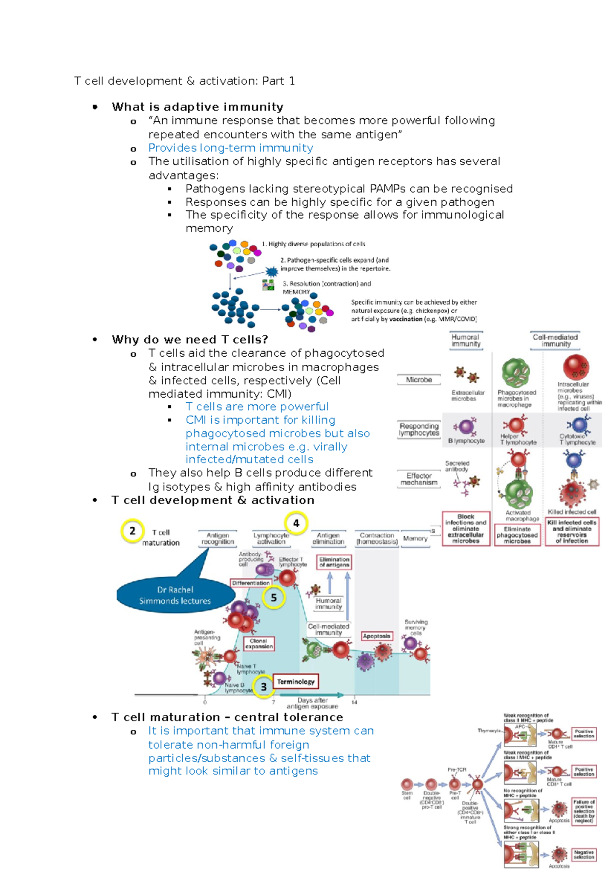 T cell development & activation - Part 1 - T cell development ...