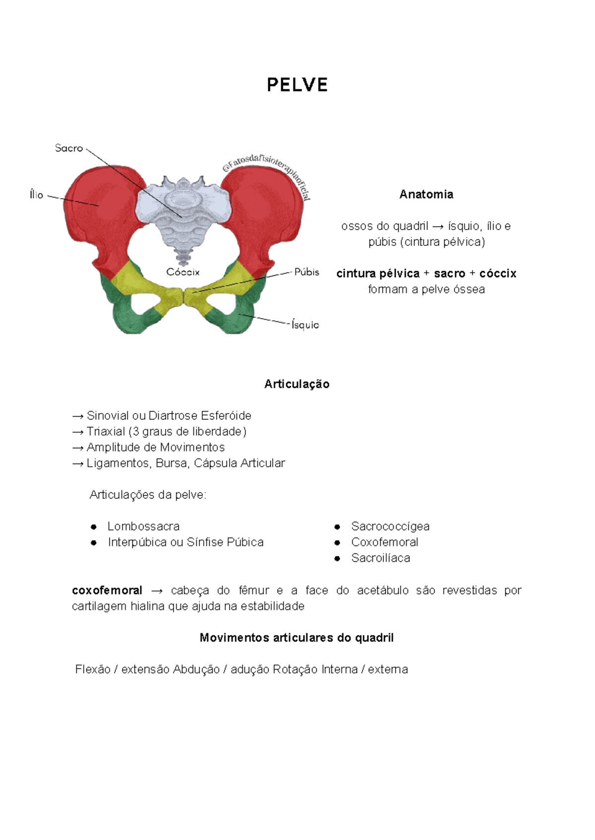 Pelve - PELVE Anatomia ossos do quadril → ísquio, ílio e púbis (cintura ...