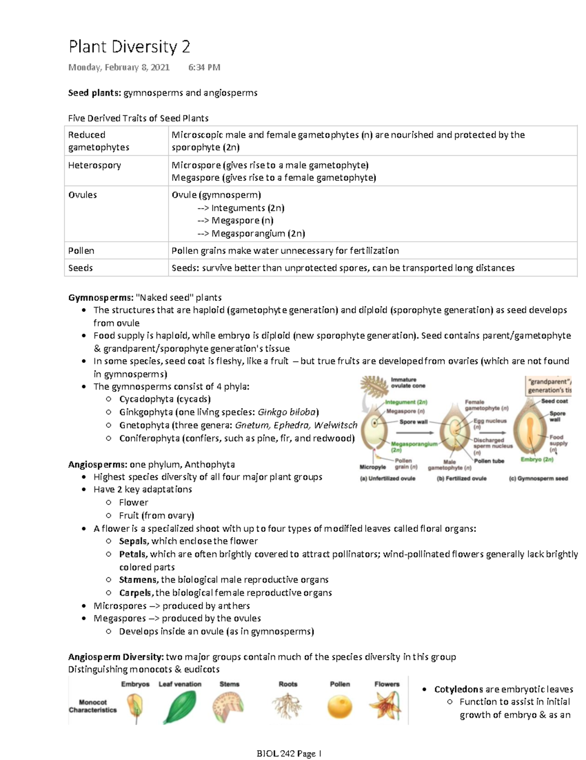 BIOL 242 Diversity of Life Plant Diversity 2 Lecture - Seed plants ...