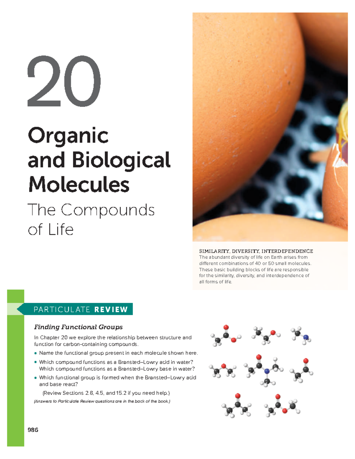 1018 - 986 Organic and Biological Molecules The Compounds of Life 20 ...