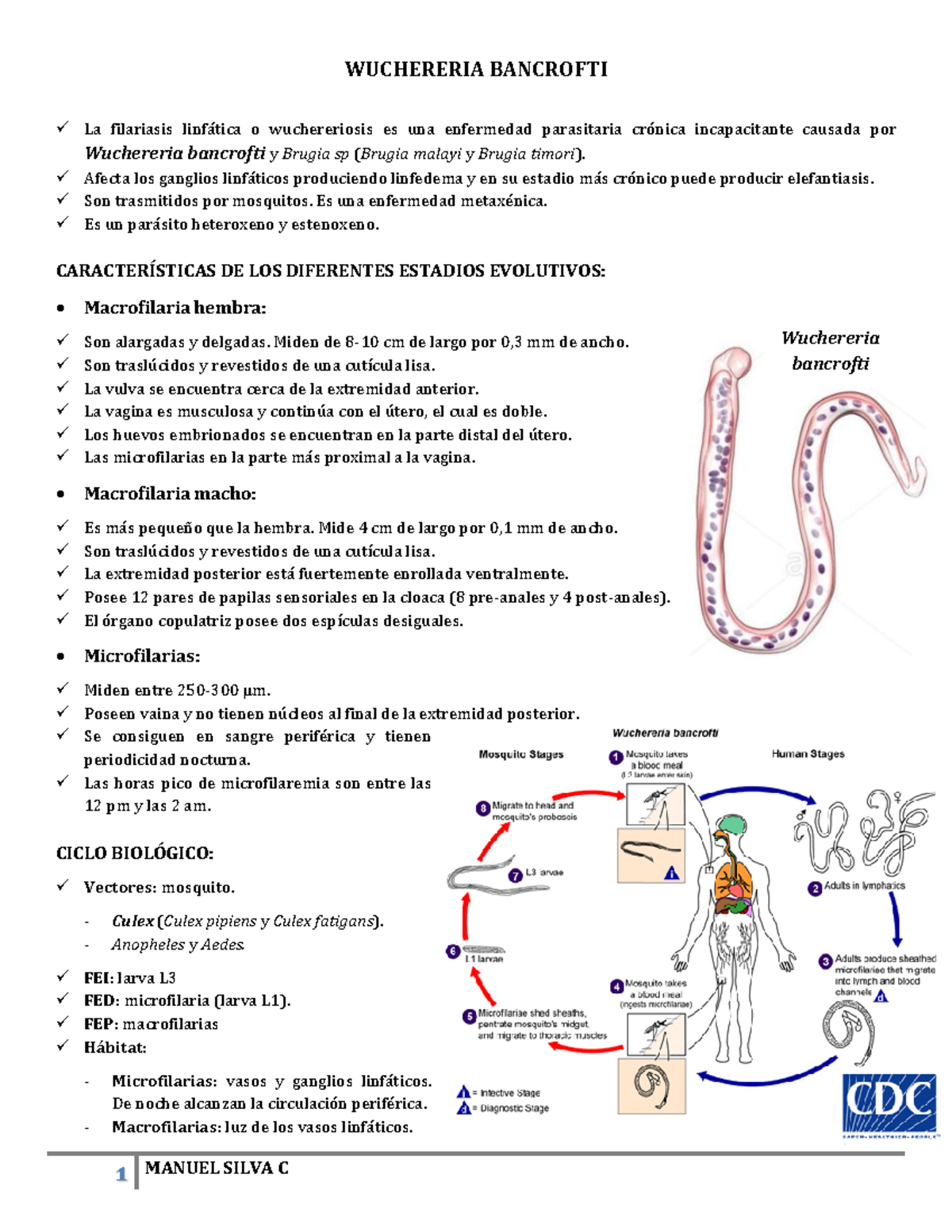 9. Wuchereria Bancrofti ( Manuel) - WUCHERERIA BANCROFTI La filariasis ...