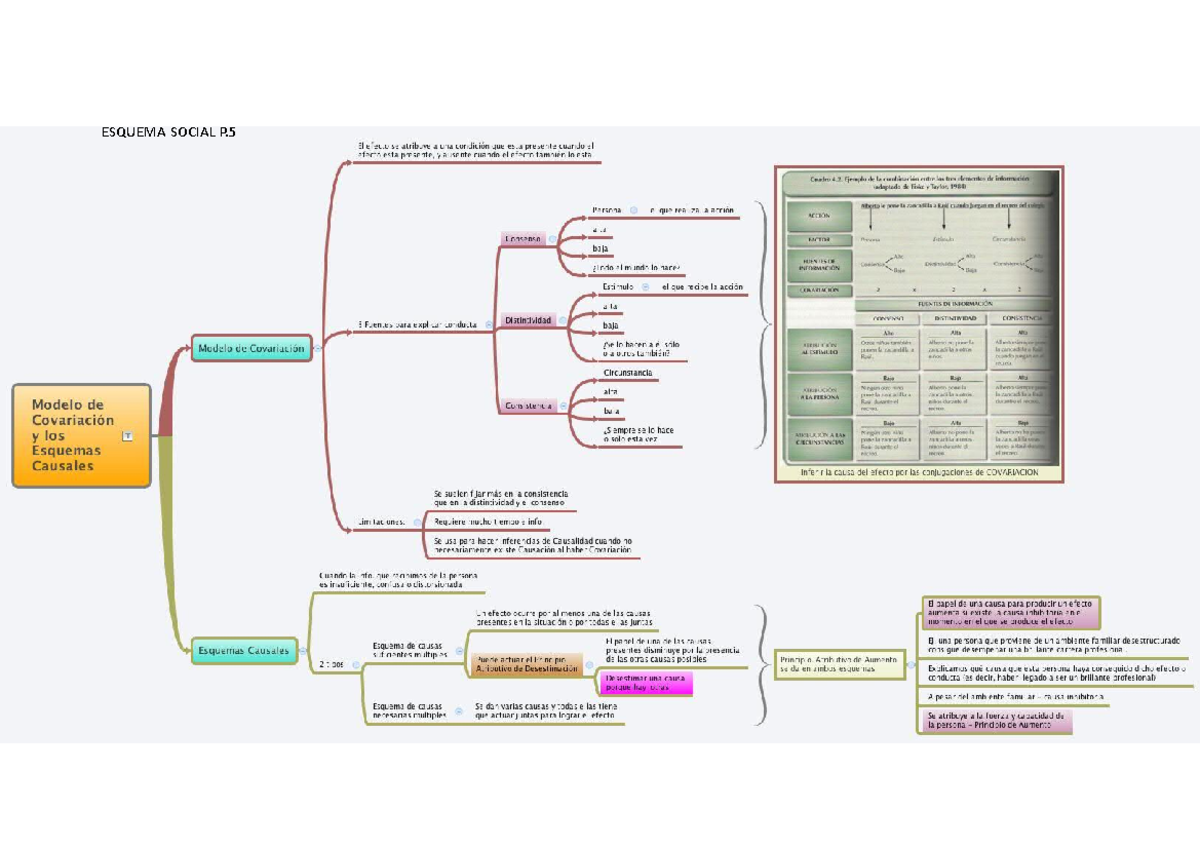 Esquema Social P - Psicología Social - ESQUEMA SOCIAL P. - Studocu