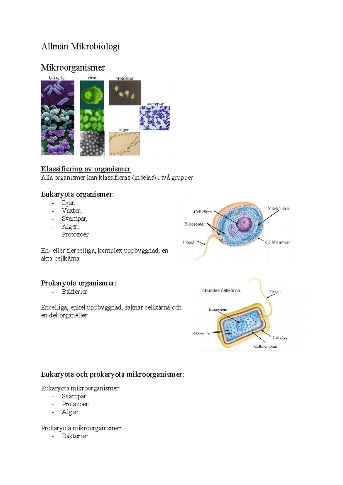 Allmän-Mikrobiologi, information om mikrobiologi i allmänhet - Allmän Mikrobiologi ...