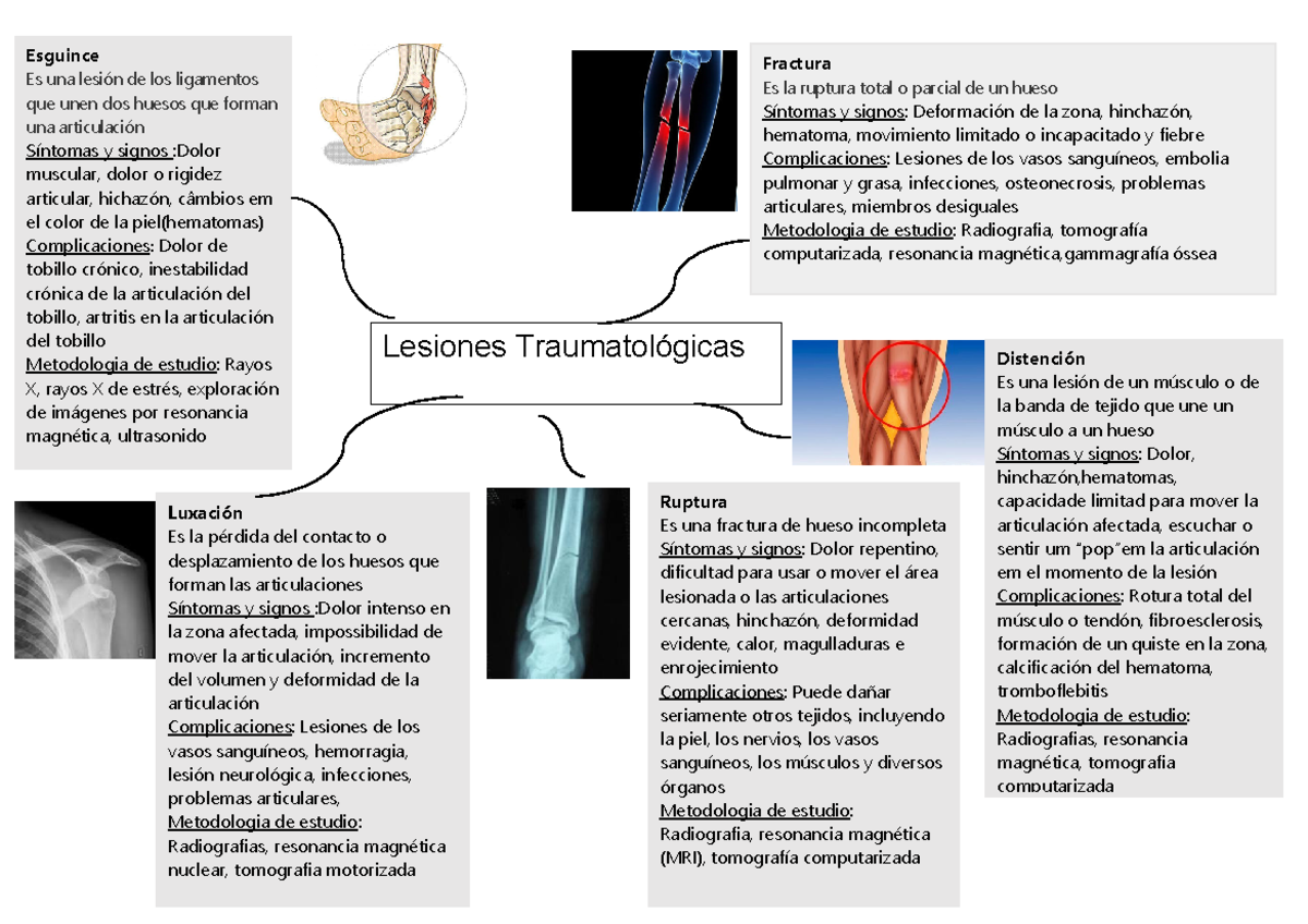 Sistema Esquelético - esquelético - Lesiones Traumatológicas Esguince ...