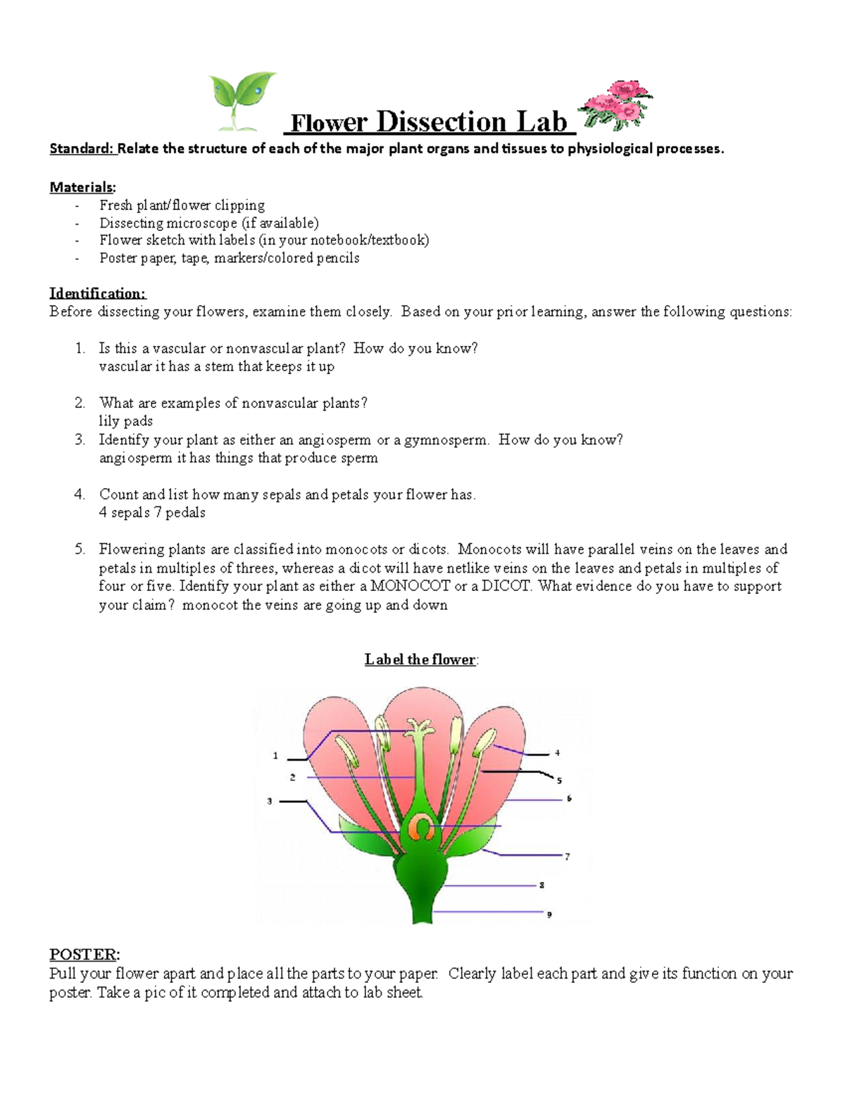 Flower Dissection Lab 2022 Flow Er Dissection Lab Standard Relate 