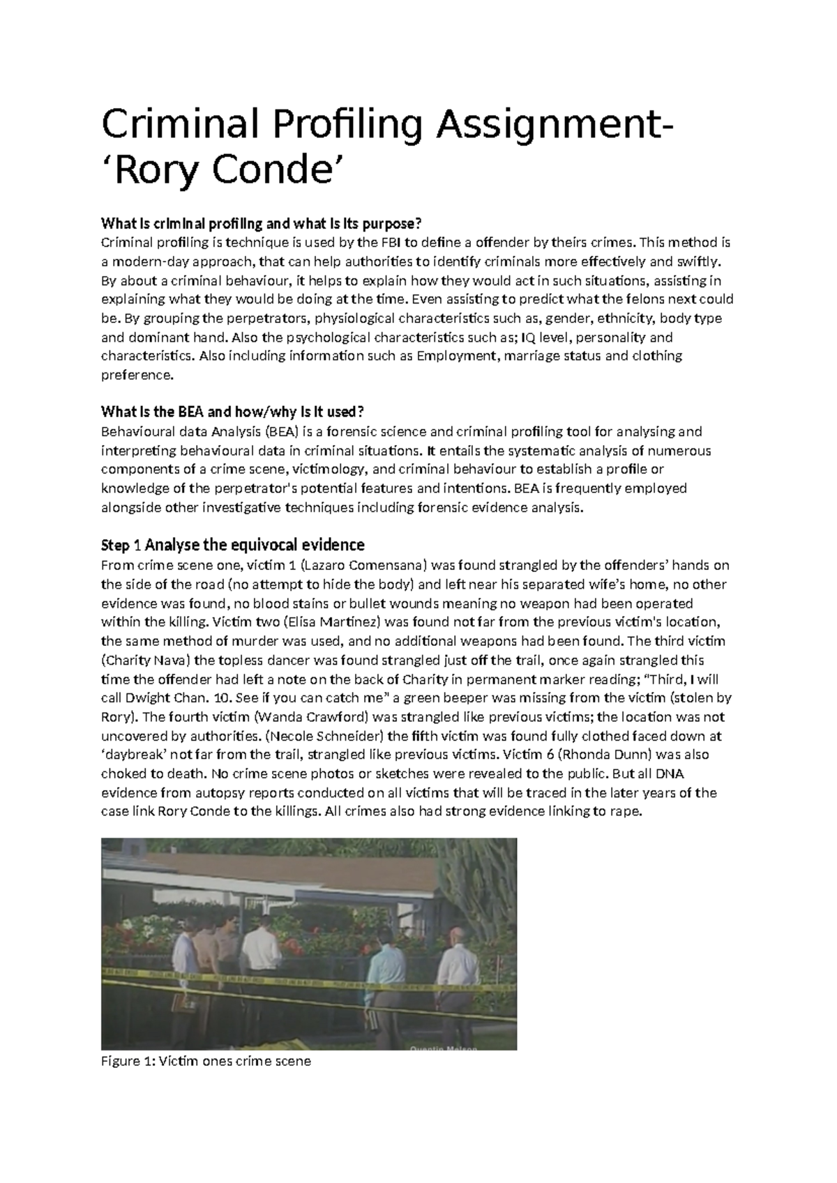 assignment for crimnal profiling - Criminal Profiling Assignment- ‘Rory ...