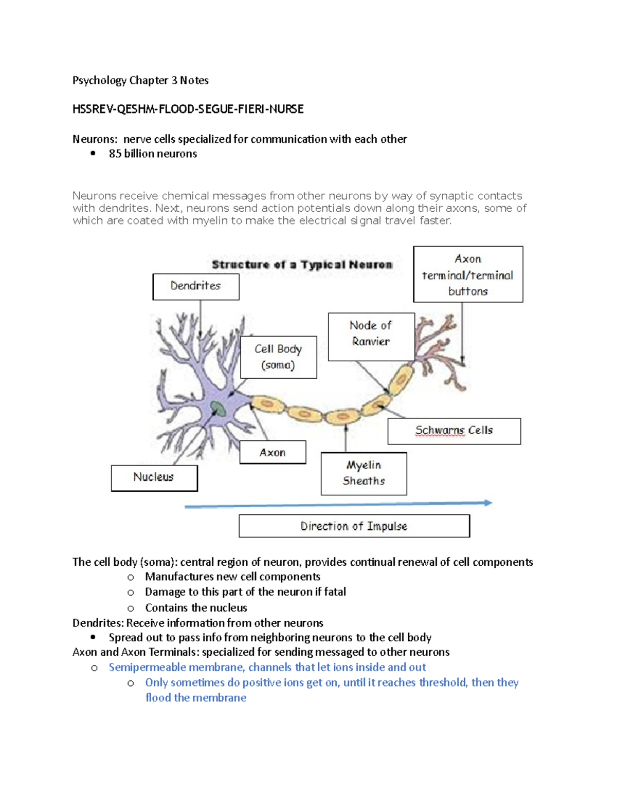 Psychology Chapter 3 Notes - Psychology Chapter 3 Notes Neurons: nerve ...