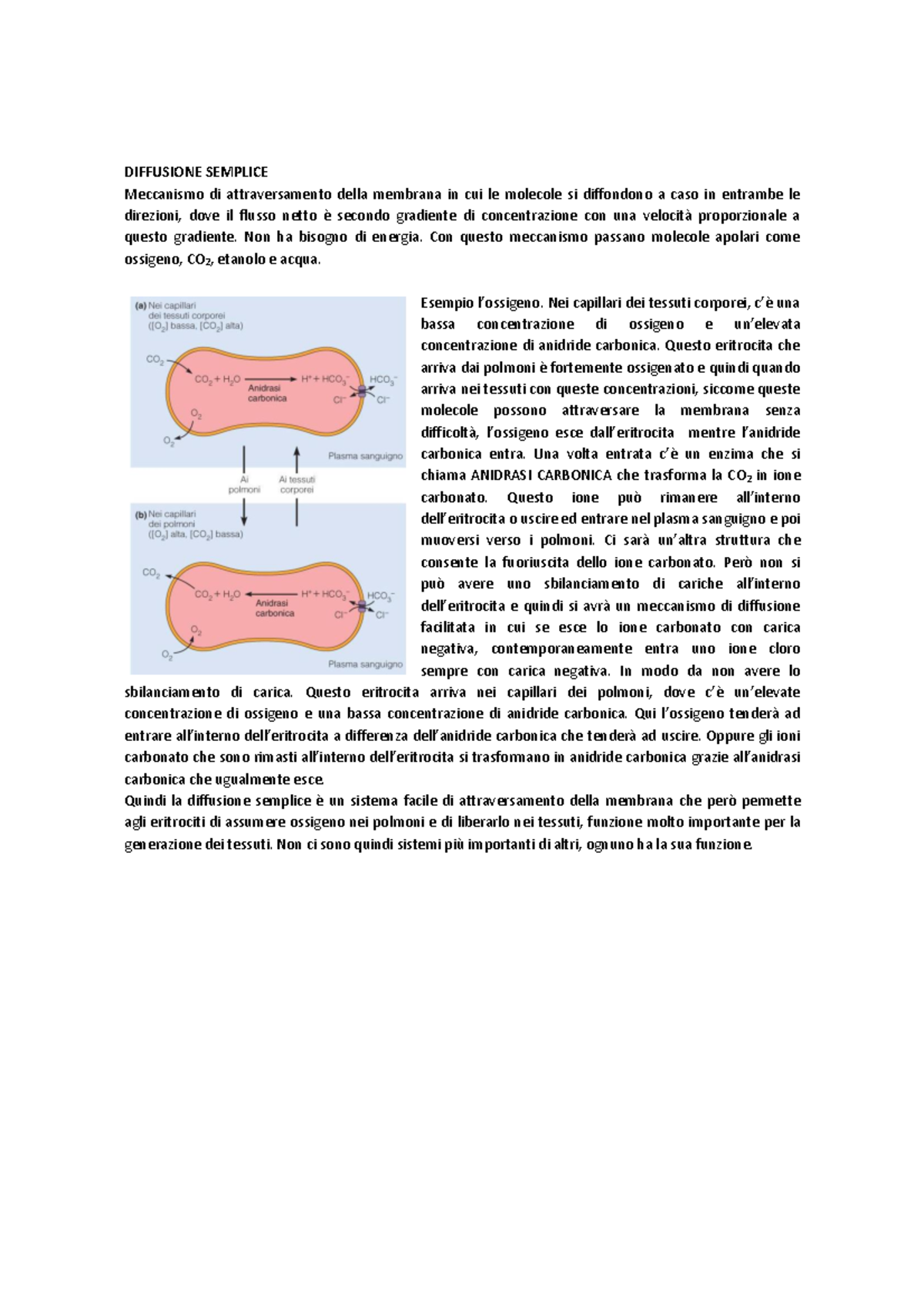 Citologia lezione 7 - DIFFUSIONE SEMPLICE Meccanismo di attraversamento ...