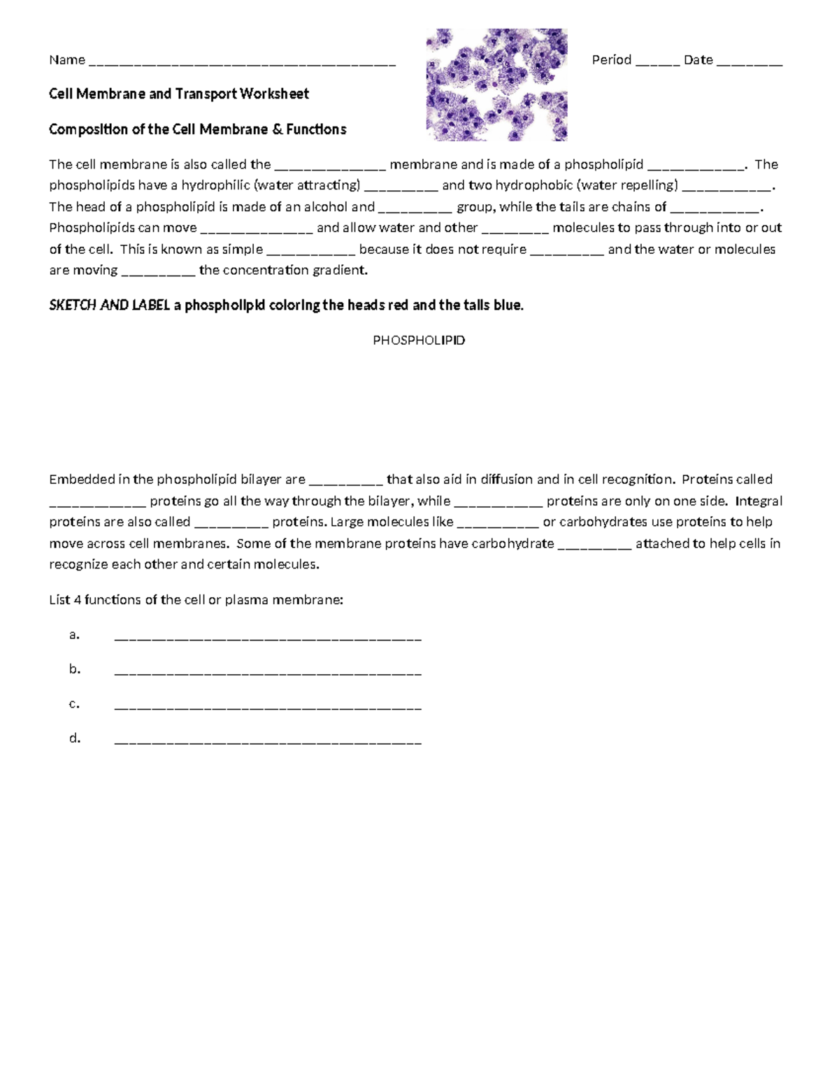 Cell Membrane and Transport Worksheet - Name ...