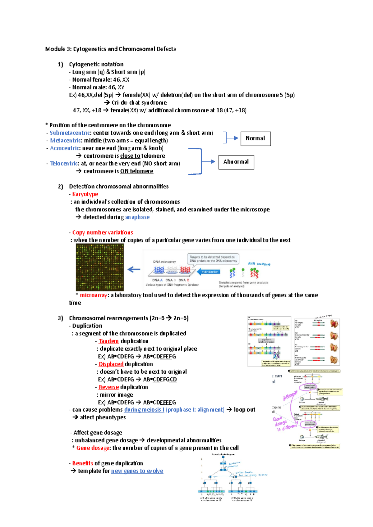 Module 3 - summary by following the study guide - Module 3 ...