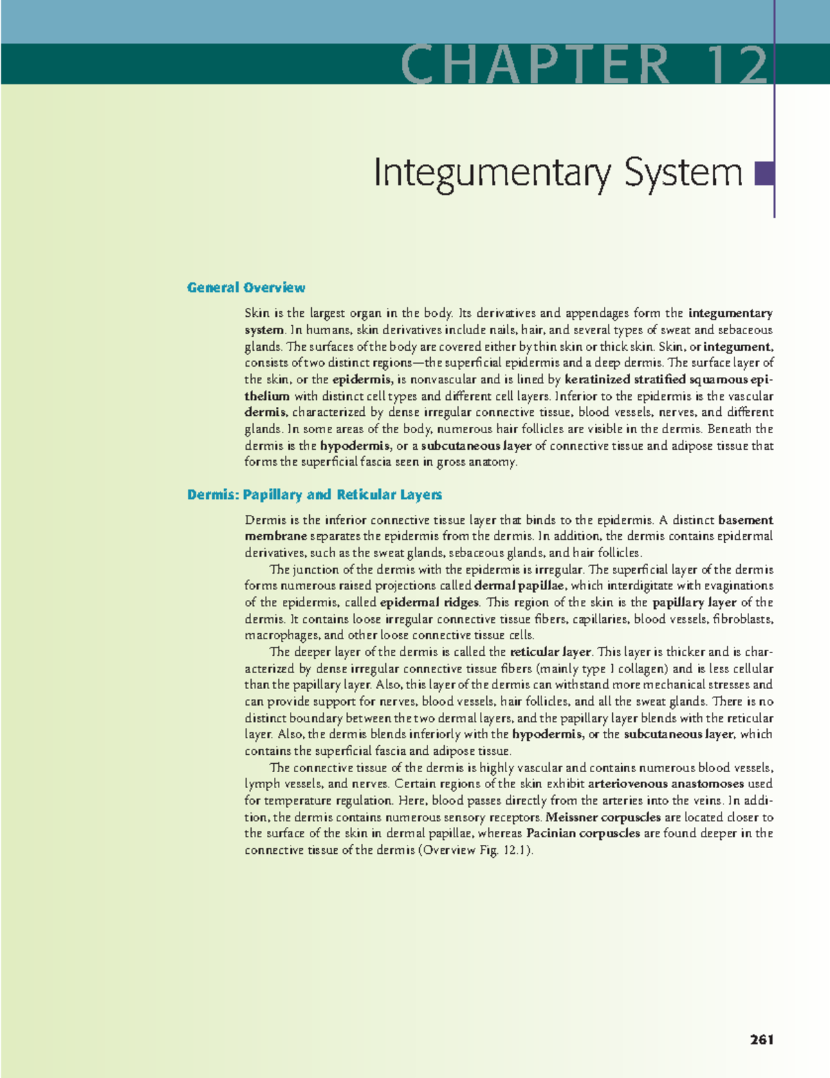 Integ System - Long Exam 1 - 261 C H A P T E R 12 Integumentary System General Overview Skin is ...