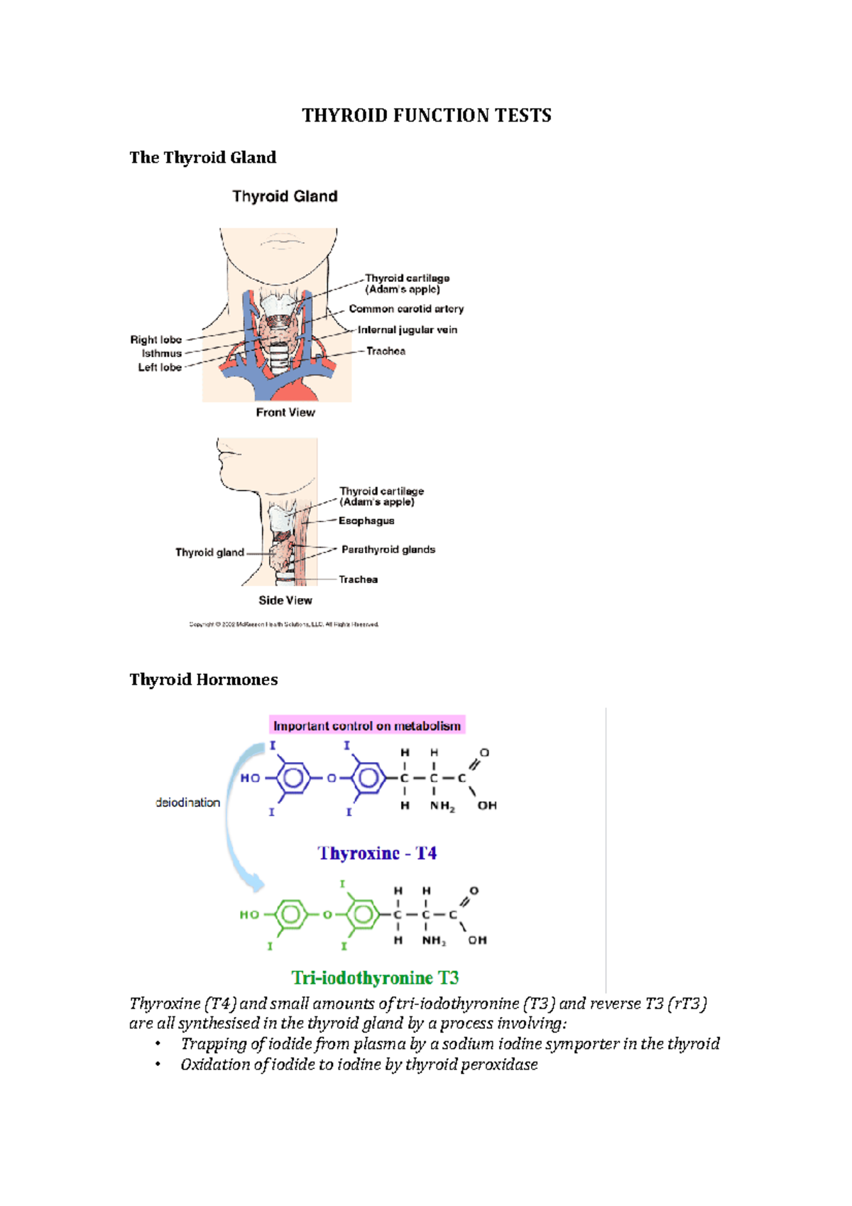 THYROID FUNCTION TESTS notes.docx - THYROID FUNCTION TESTS The Thyroid ...