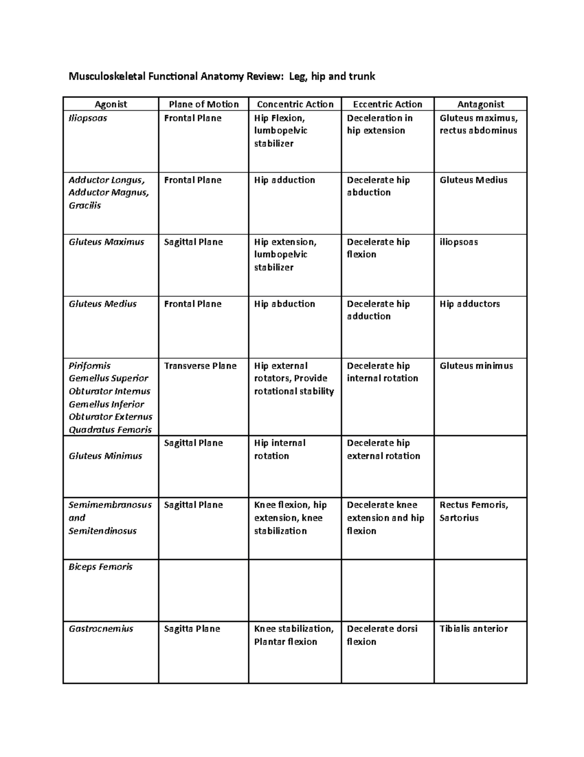 Musculoskeletal Functional Anatomy Review Hip and Leg - Musculoskeletal ...