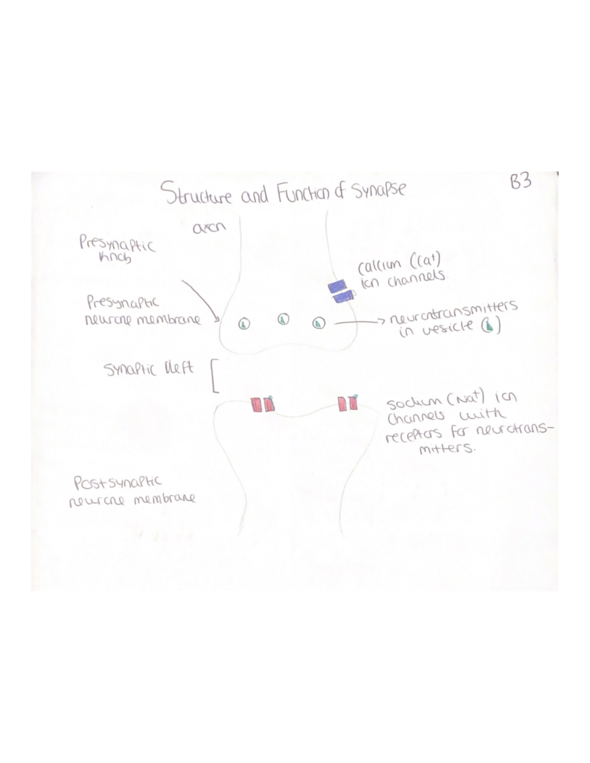Channels in assignment - Studocu