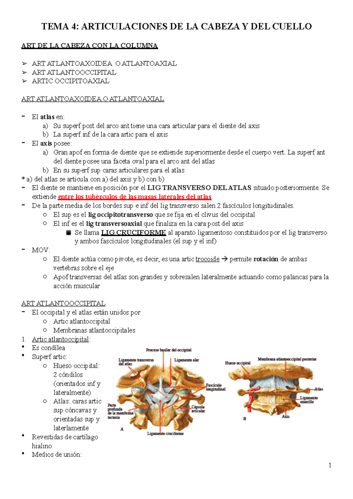 TEMA 4 Anatomía articulacones de cabeza y cuello - TEMA 4: ARTICULACIONES DE LA CABEZA Y DEL ...