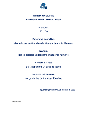El sistema límbico - wsdfghj - El sistema límbico El sistema límbico se ...