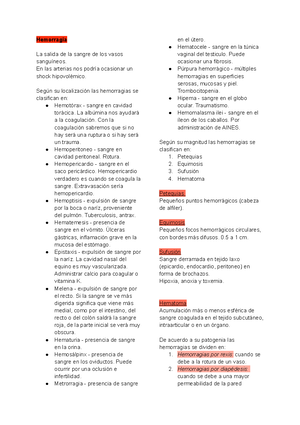 Muerte somatica - La muerte es el cese irreversible de funciones ...