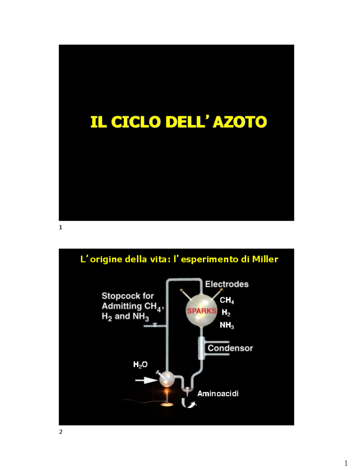 009 Cicli Biogeochimici N 2022 2023 Final - IL CICLO DELL’AZOTO L ...