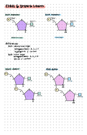 Draw to learn - Draw a lipid bilayer, and focus on three lipids that ...