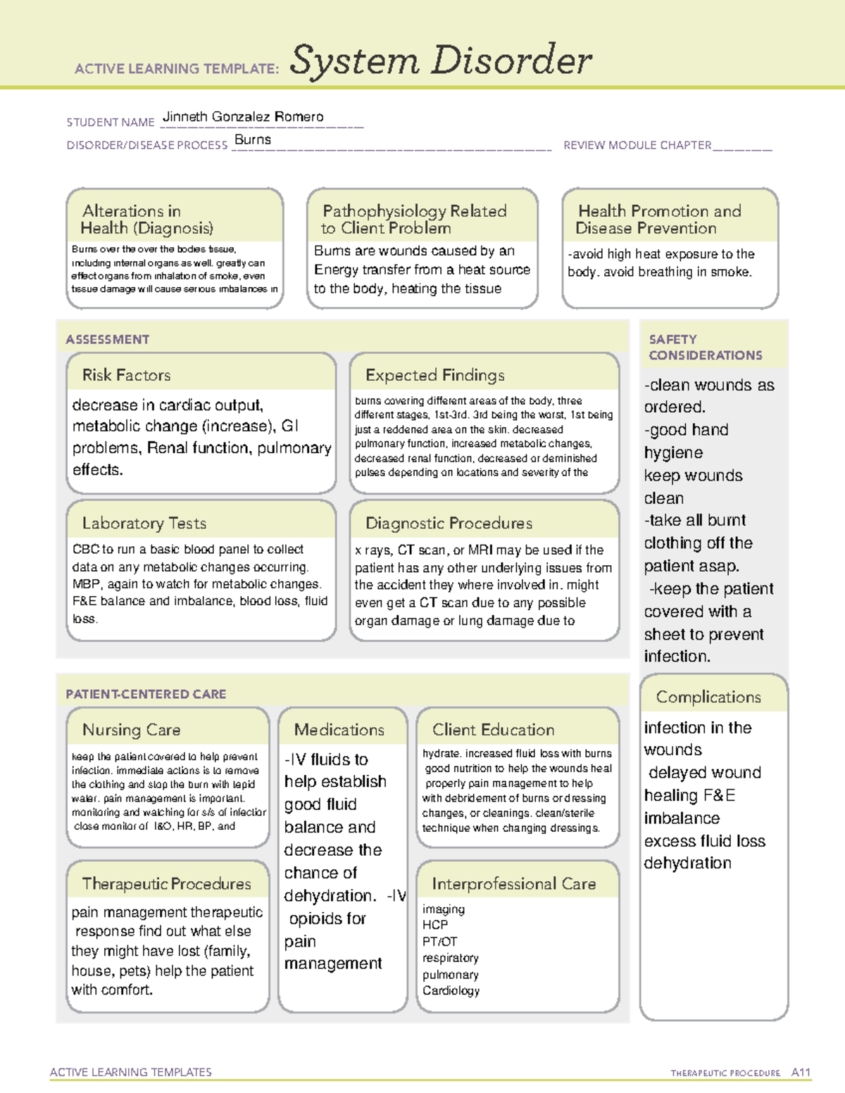 Burns template - dwd - ACTIVE LEARNING TEMPLATES TherapeuTic procedure ...