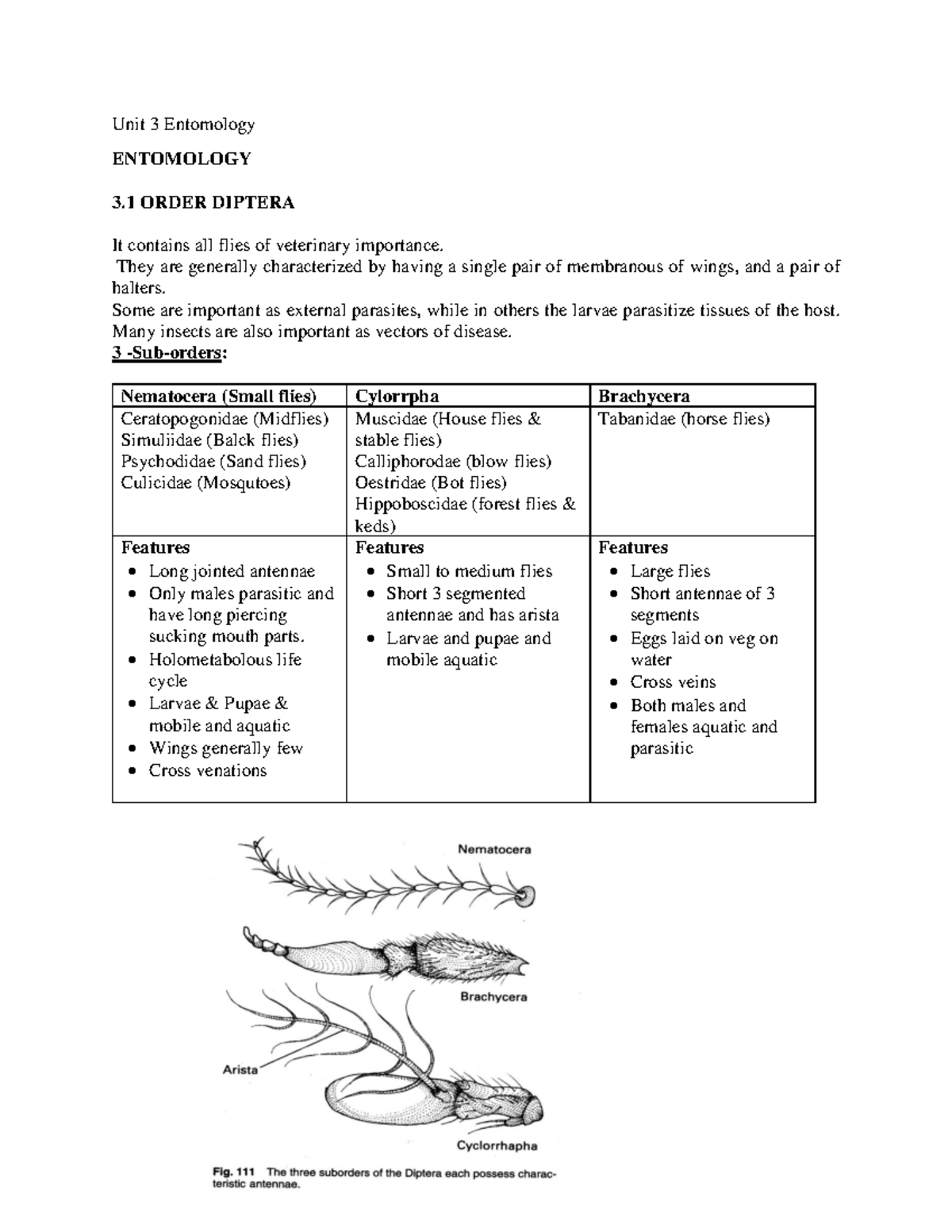Unit 3 Entomology - These notes are not into details - Unit 3 ...