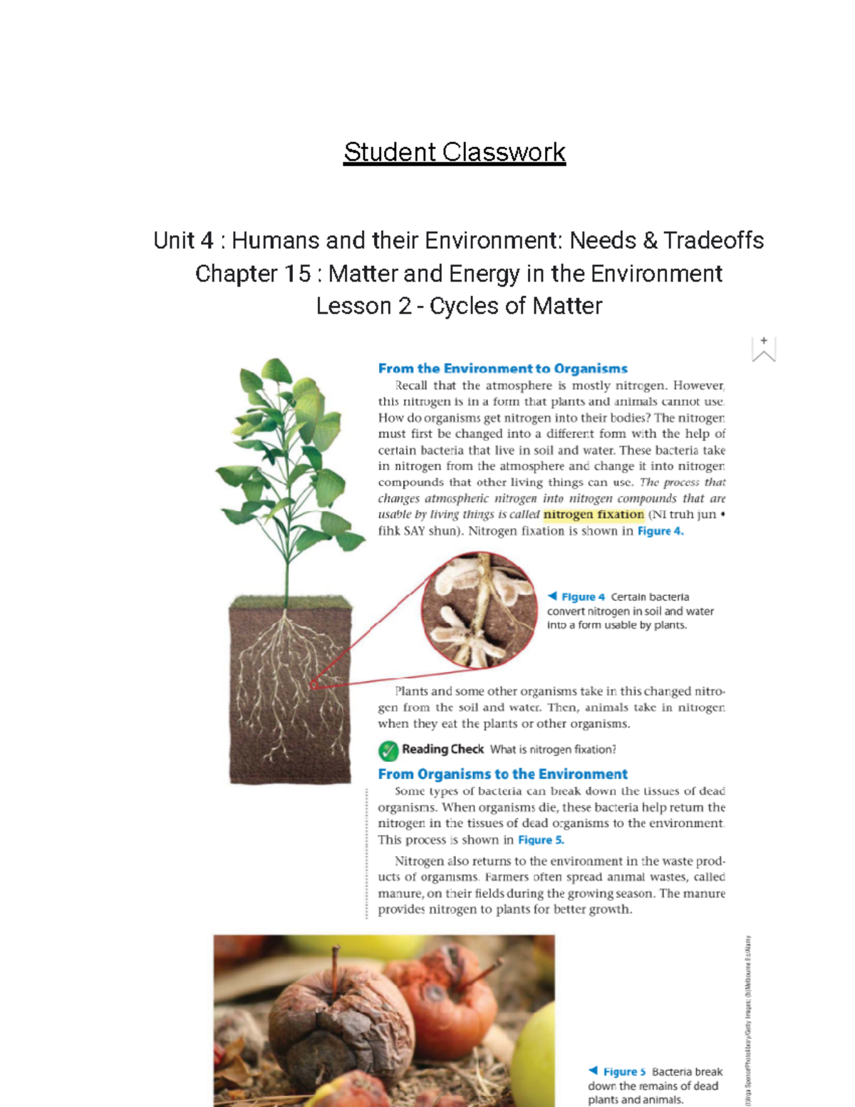 Humans and their Environment-Needs and Tradeoffs - Student Classwork ...