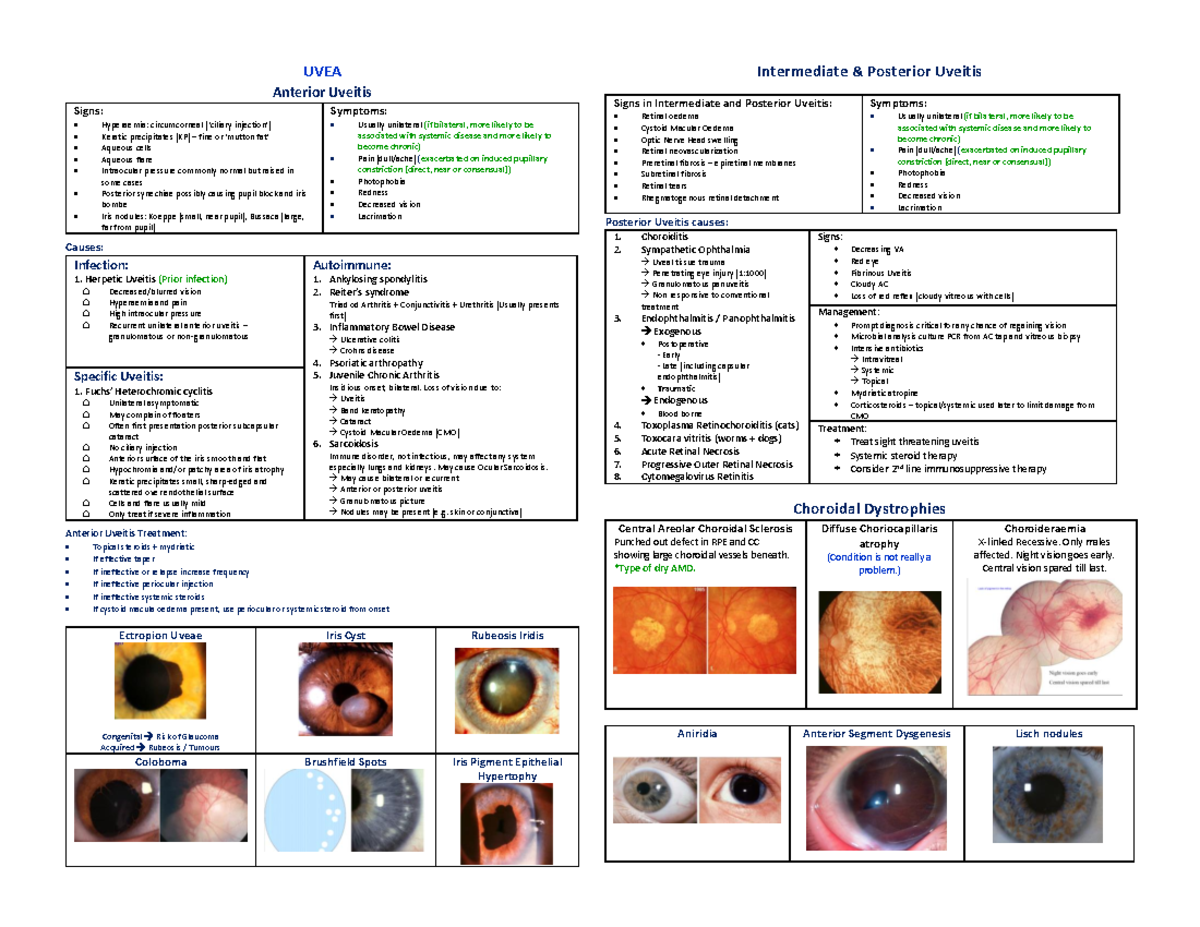 Uvea - Overview of the uvea lecture by an external lecturer. - UVEA ...