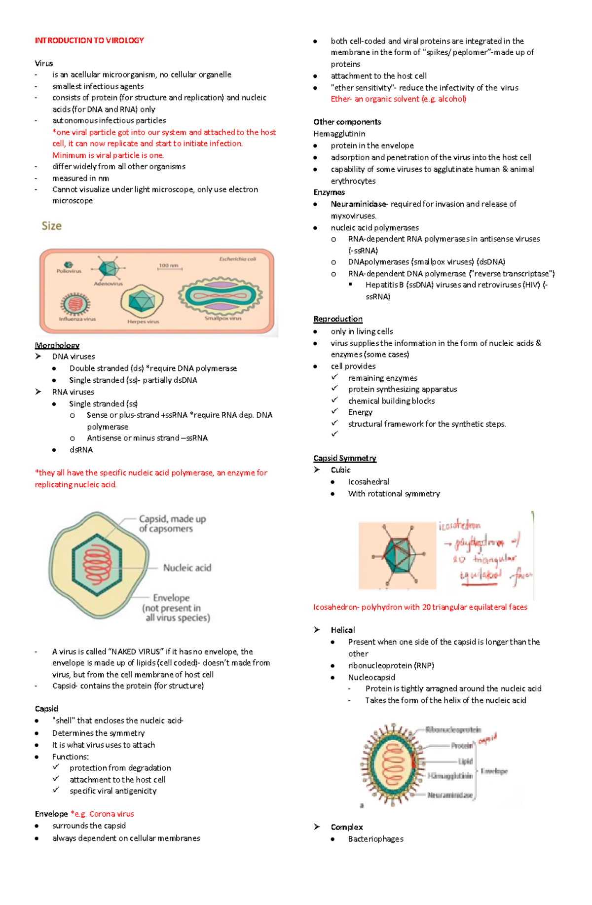 MYCV LEC Midterm - lec - INTRODUCTION TO VIROLOGY Virus is an acellular ...