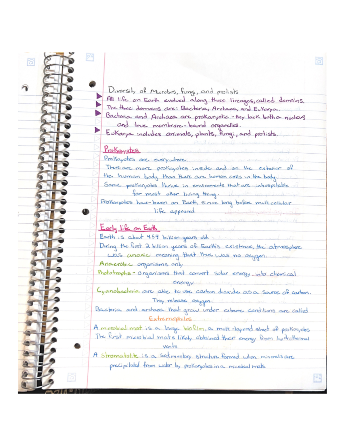 Diversity of Mircobes, fungi, and Protist - BIOSC 0150 - Pitt - Studocu