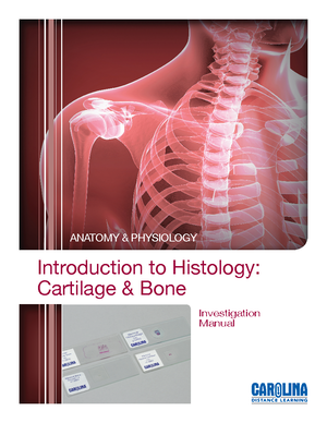 Cardio - Layer s of Hear t & P er i c ar di al Sac o Endocardium: Thin ...