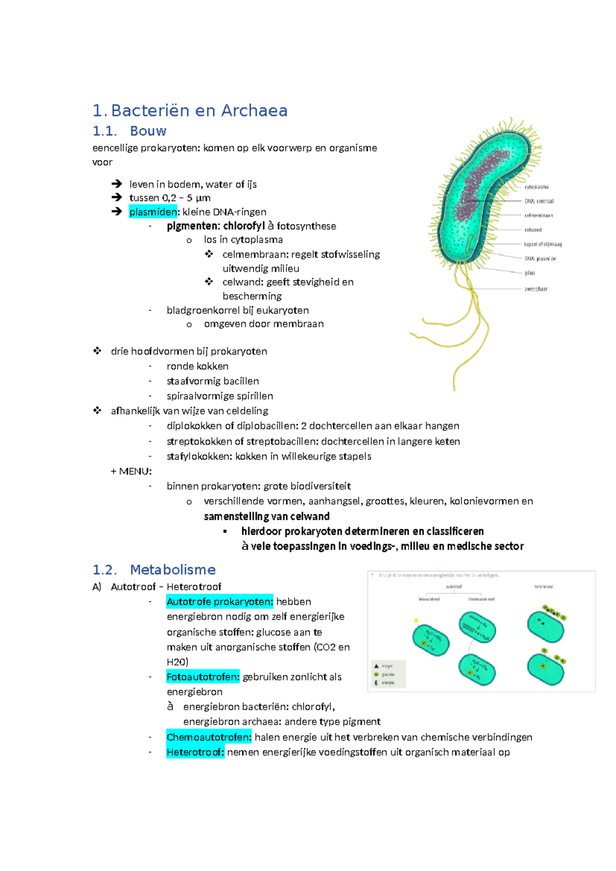 Bacteriën en Archaea - bio - 1. Bacteriën en Archaea 1. Bouw eencellige ...